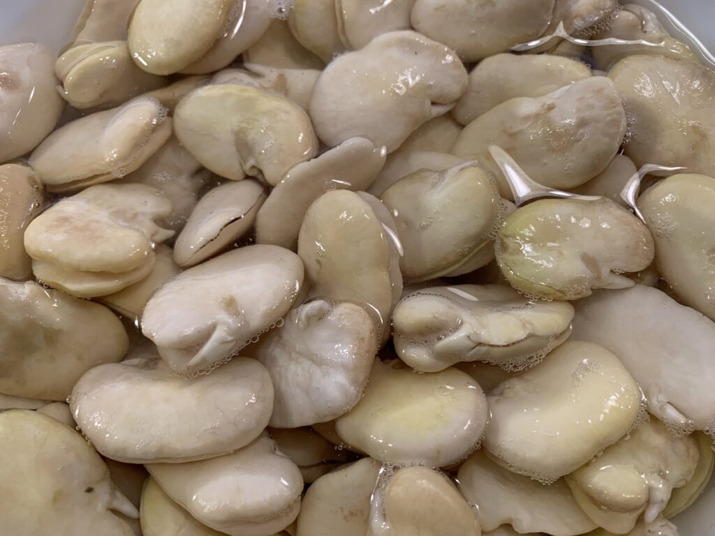 Fasolia - Greek Fava Or Broad Beans With Tomato And Herbs