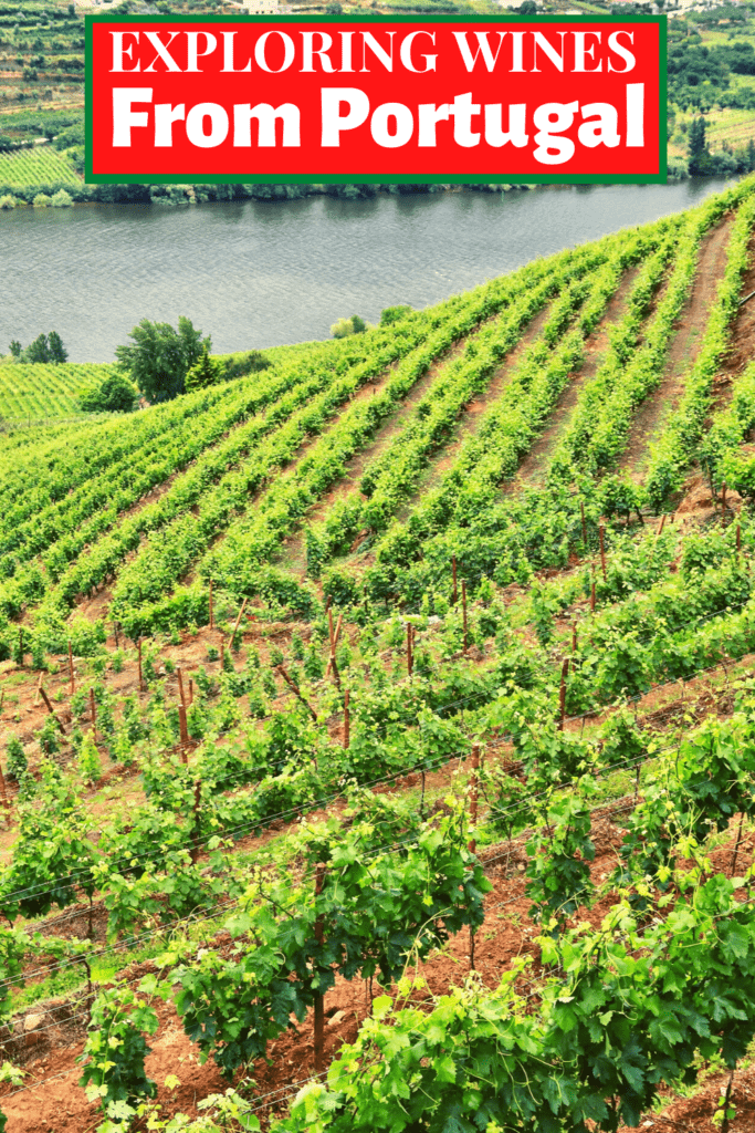 Exploring Wine From Portugal - Food Travelist